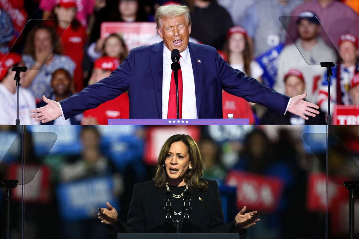 Quién Gana Las Elecciones De Estados Unidos 2024 En Washington