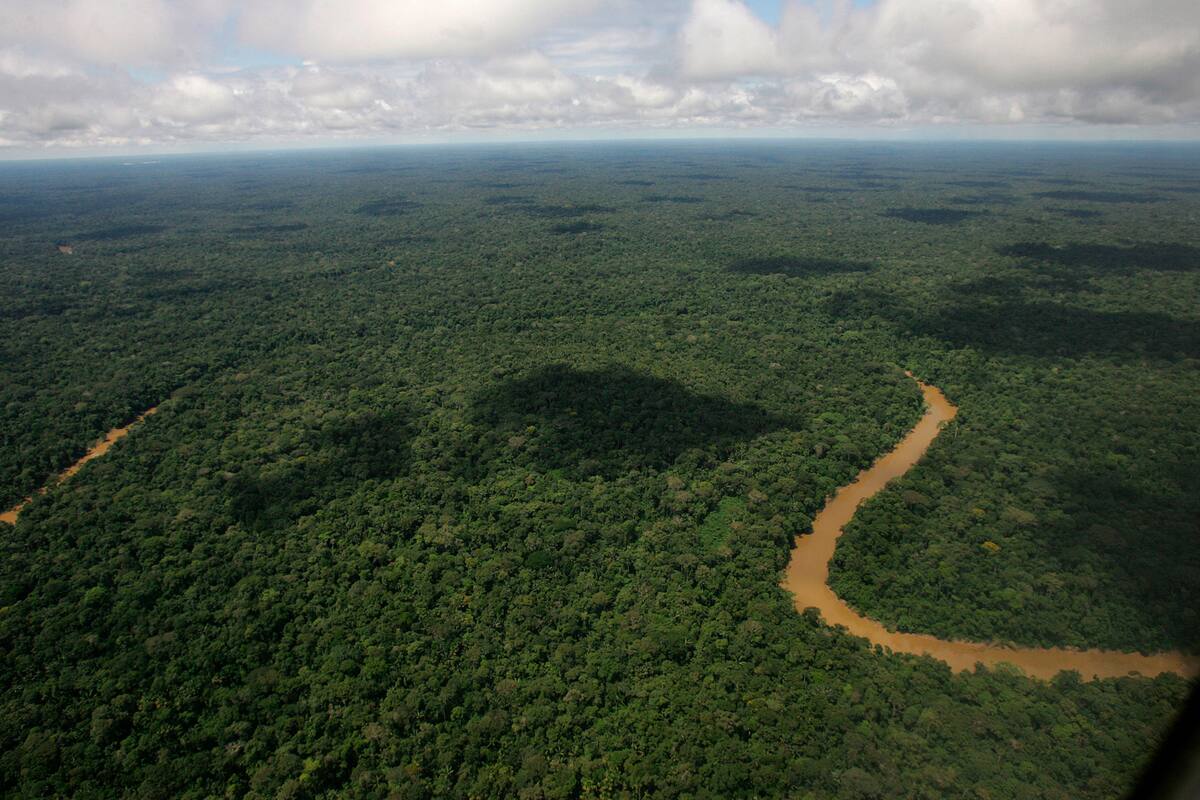 Ecuador obtiene canje de deuda y destinará 460 millones de dólares para ... Ecuador obtiene canje de deuda y destinará 460 millones de dólares para ...