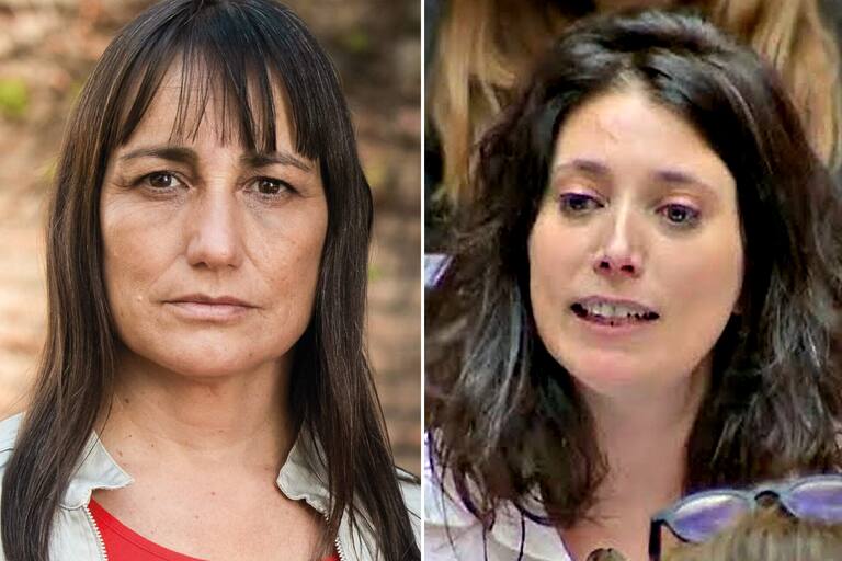 Tenso Cruce Entre Las Diputadas Romina Del Plá Y Sabrina Ajmechet Tras