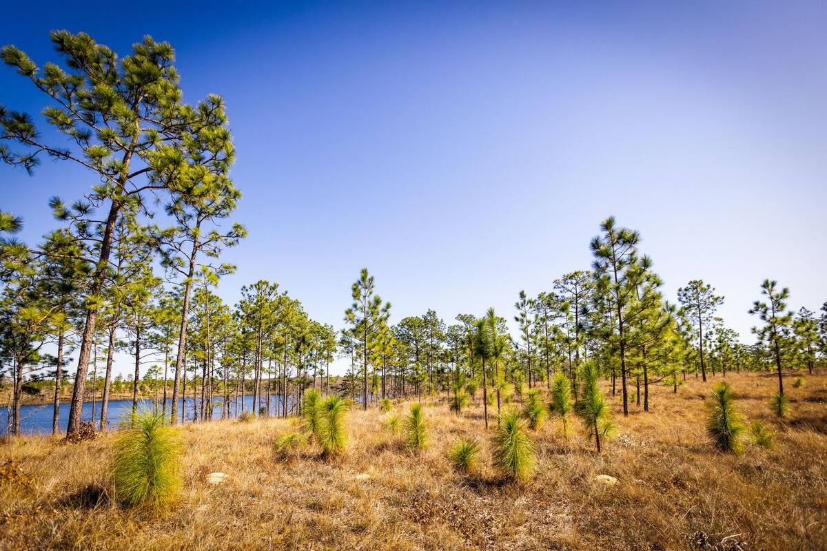 Mary Kay Inc. recibe la certificación del Forest Stewardship Council y ... Mary Kay Inc. recibe la certificación del Forest Stewardship Council y ...